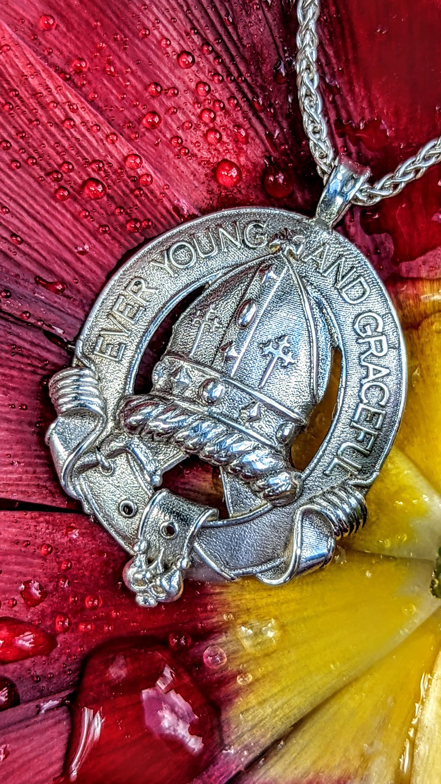 Silver & Manuscripts - Heraldic artist, illustration & craft